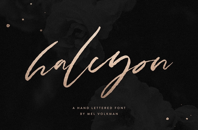 Halcyon Brush Font