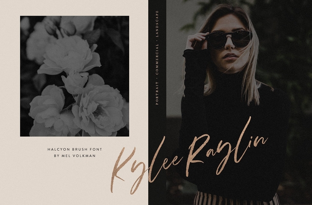 Halcyon Brush Font