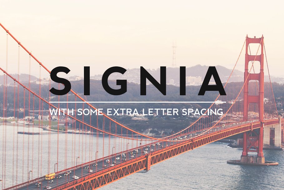Signia Pro Font