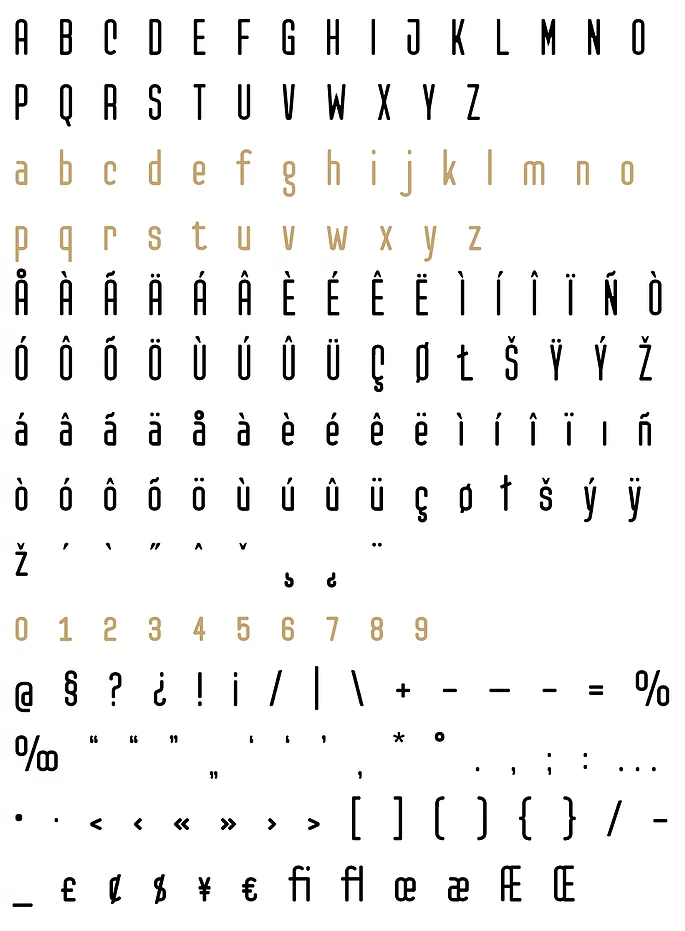 Checkpoint Font