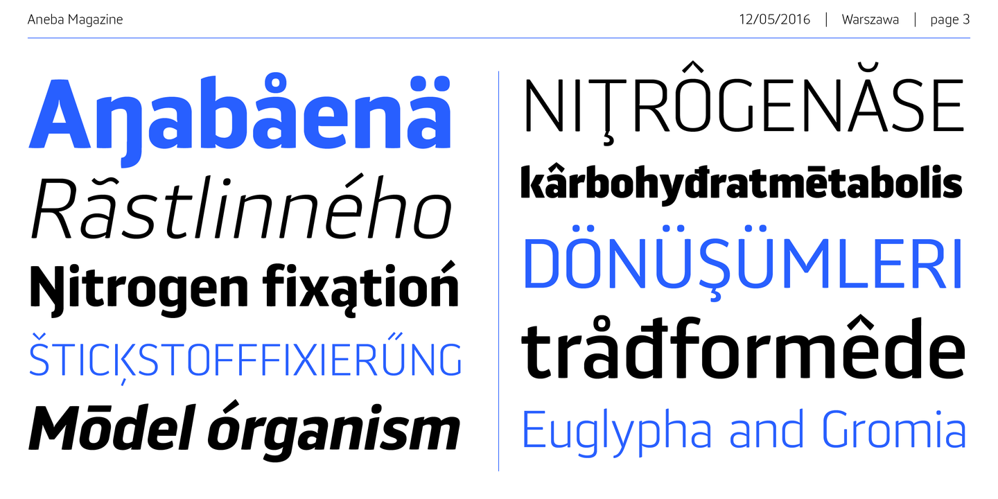 Aneba Neue Font
