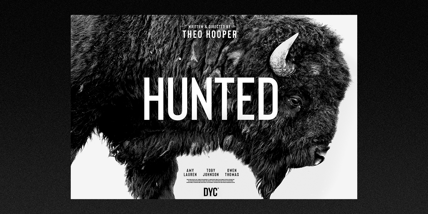 Bison Font