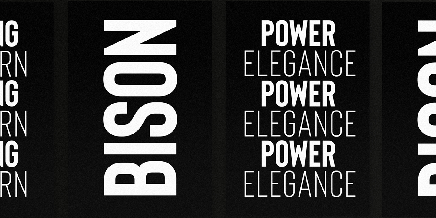 Bison Font