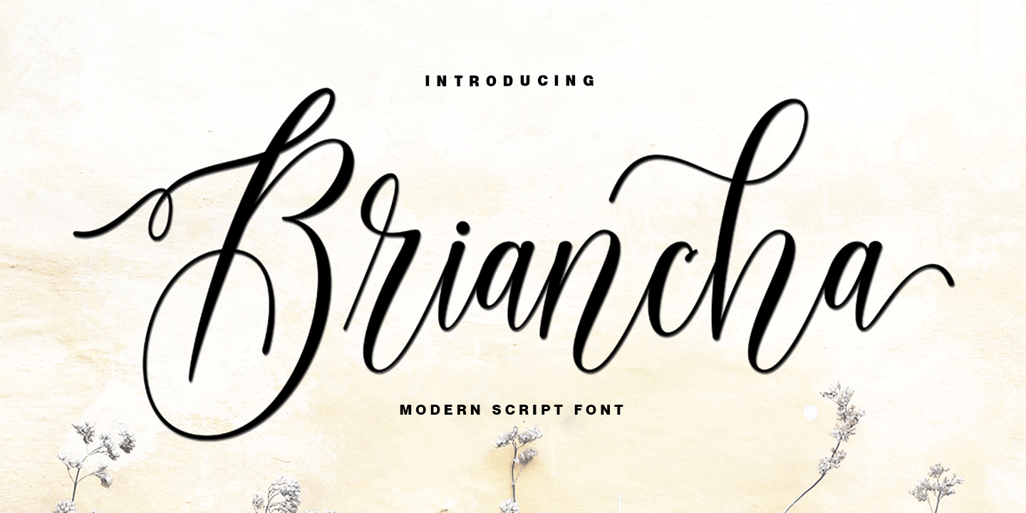 Briancha Font