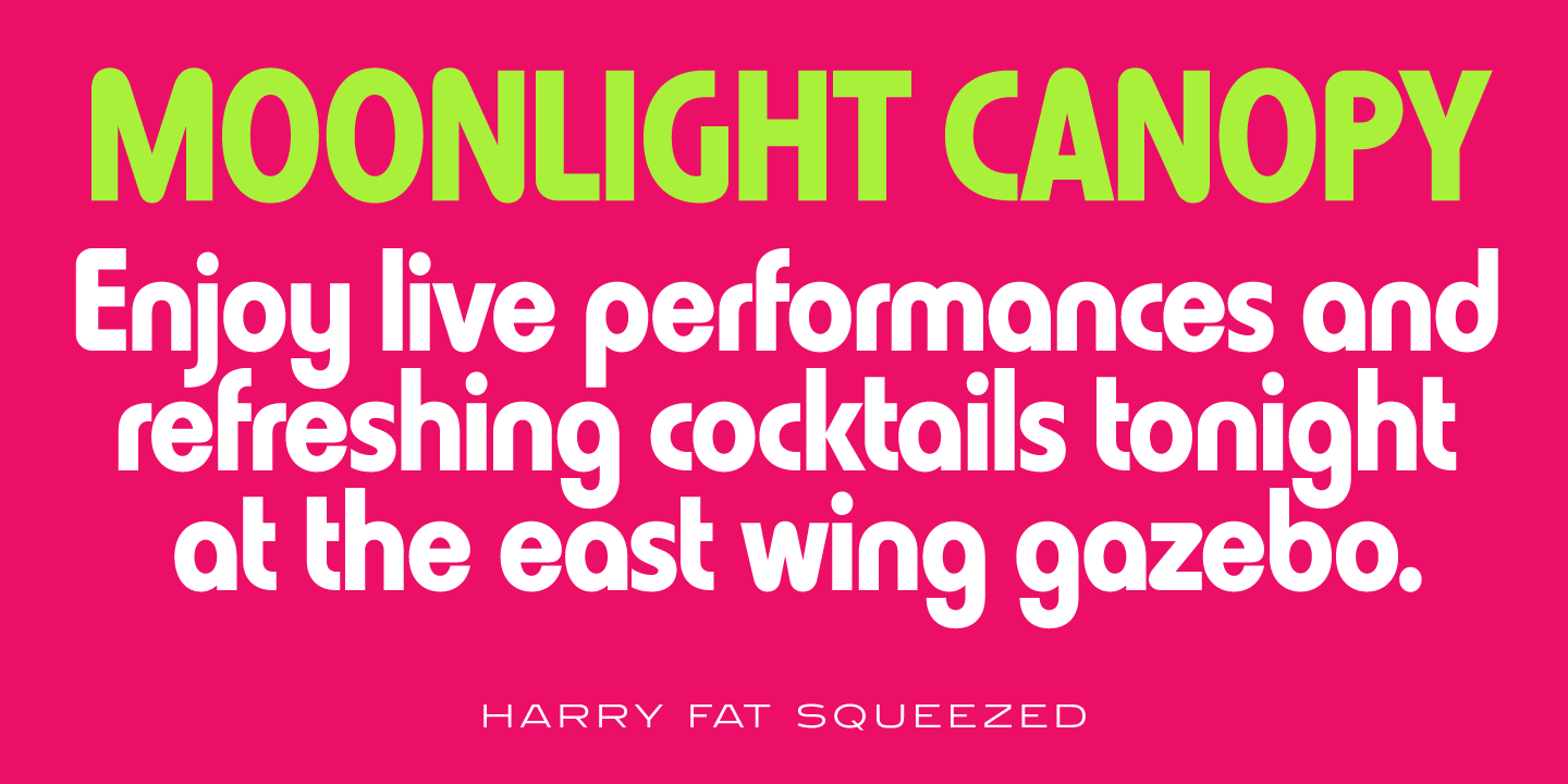Harry Pro Font