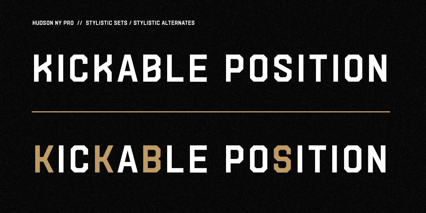 Hudson NY Pro Font