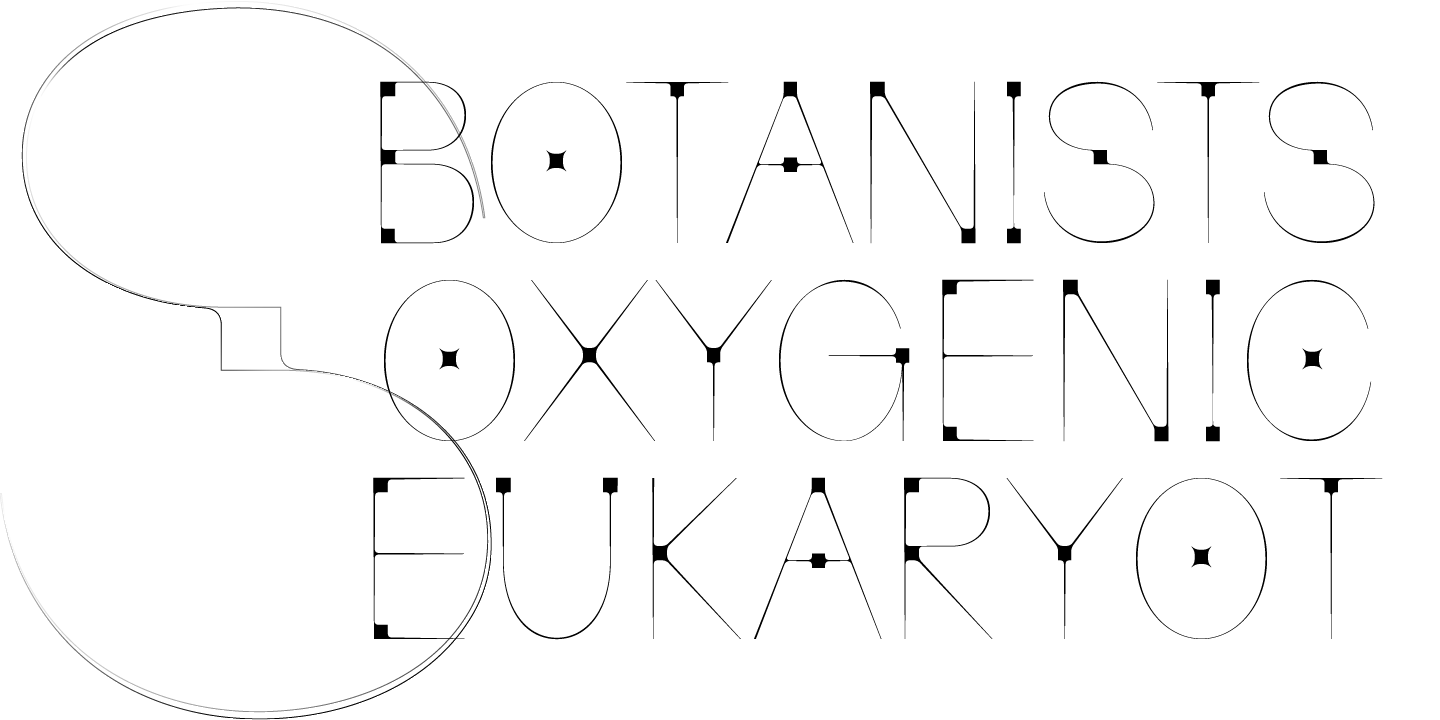 Krays Font
