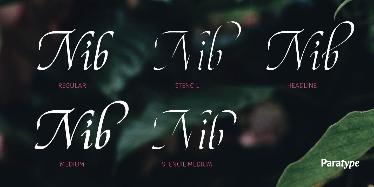Reed Font