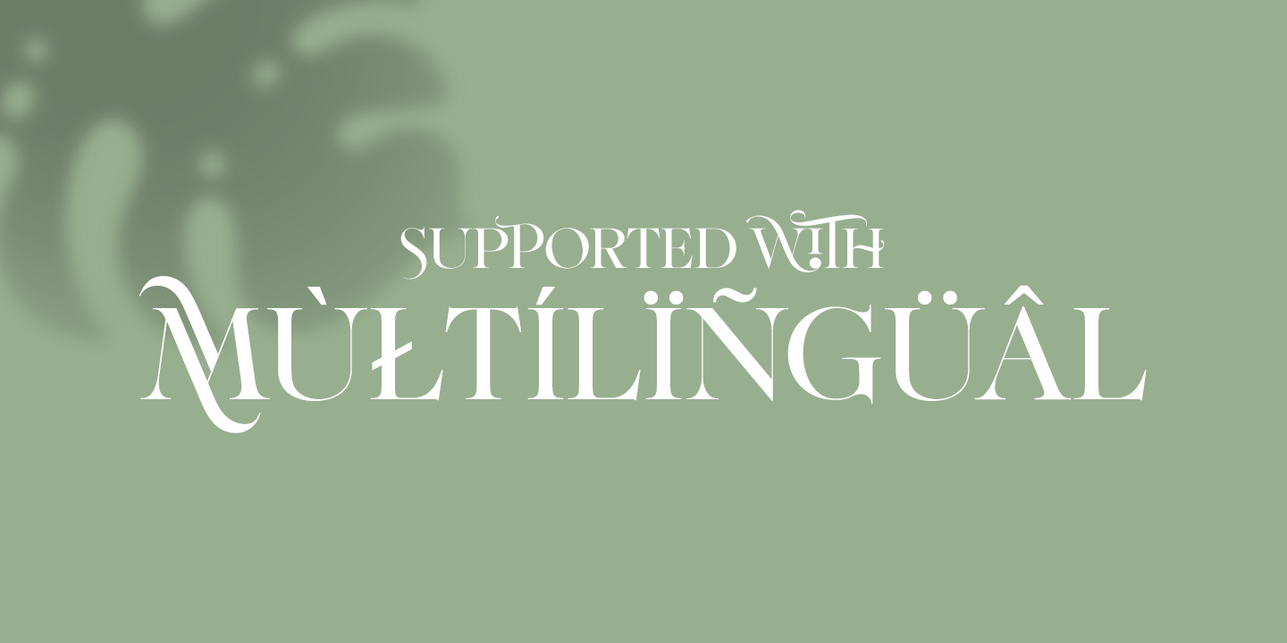 Meritta Serif Font