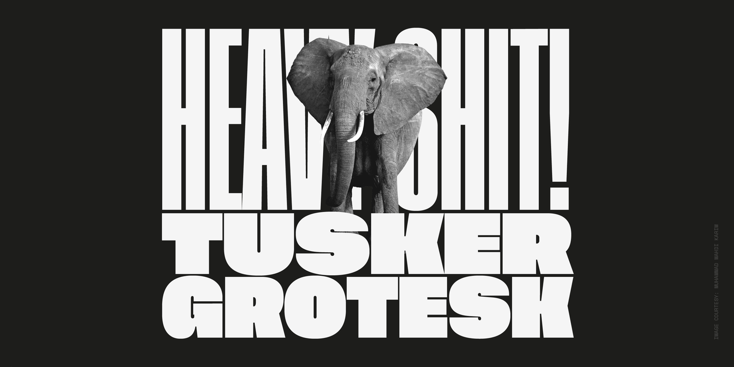 Tusker Grotesk Font