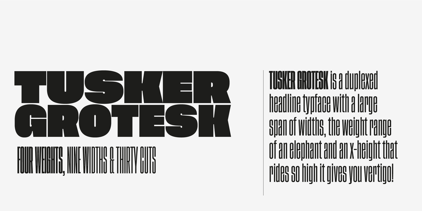 Tusker Grotesk Font
