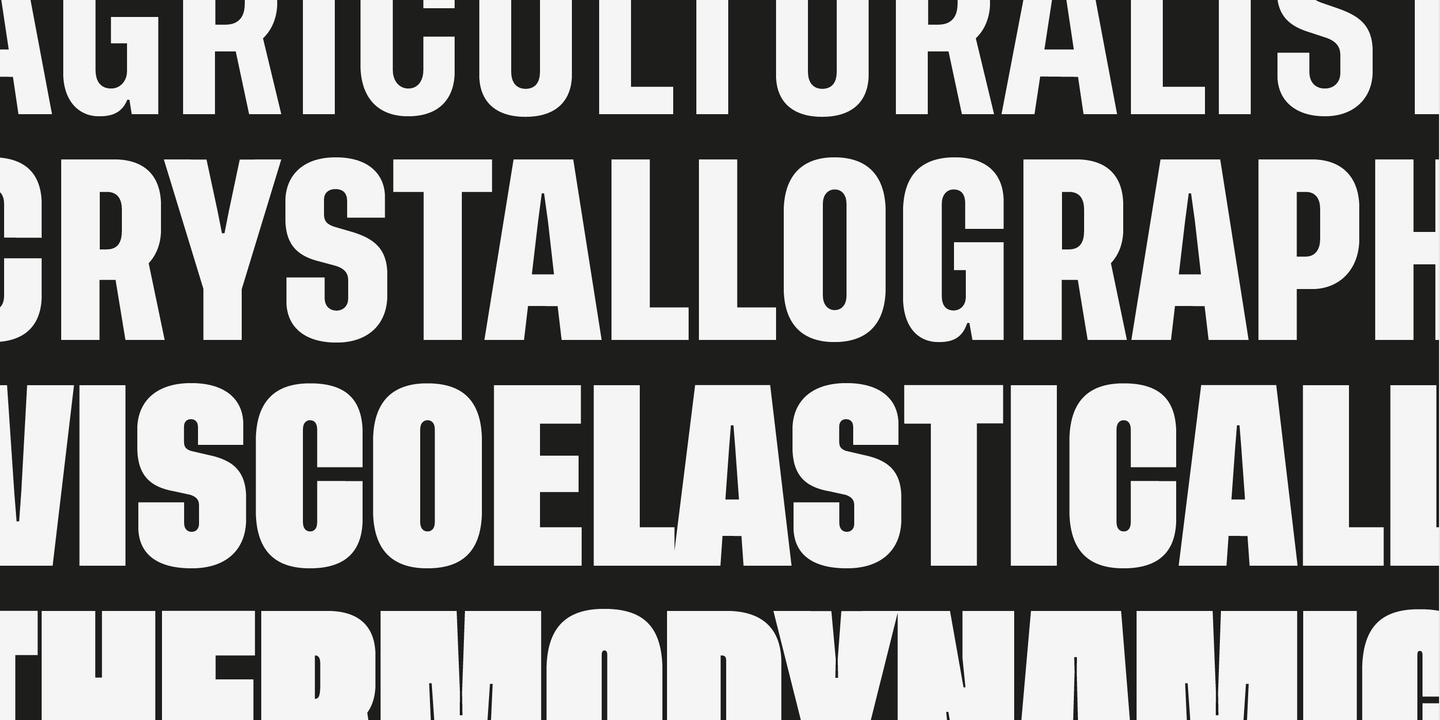 Tusker Grotesk Font