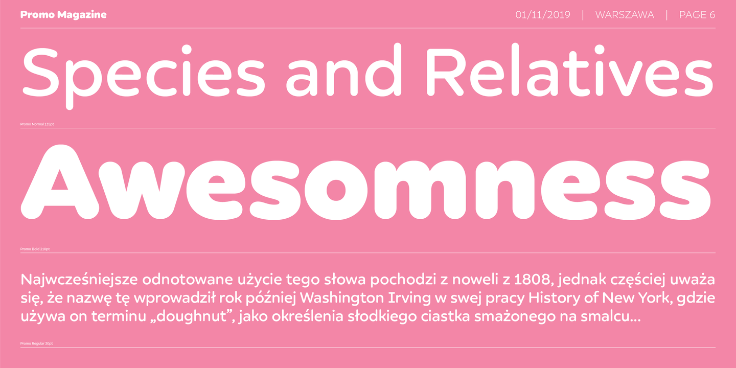 Promo Font