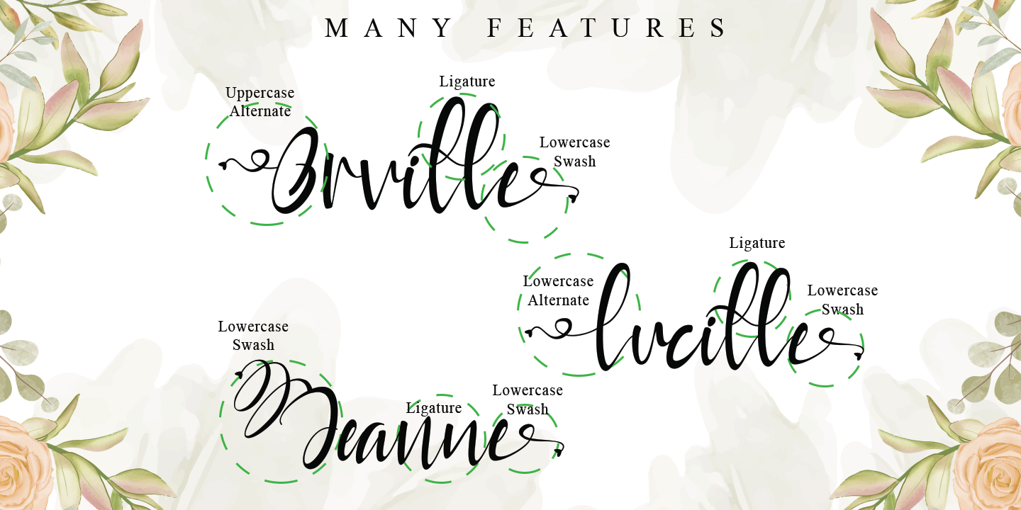 Rayya Font